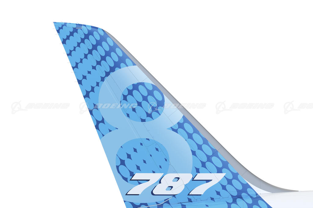 Boeing Images - 787-8 Dreamliner Standard View Illustration Unified ...