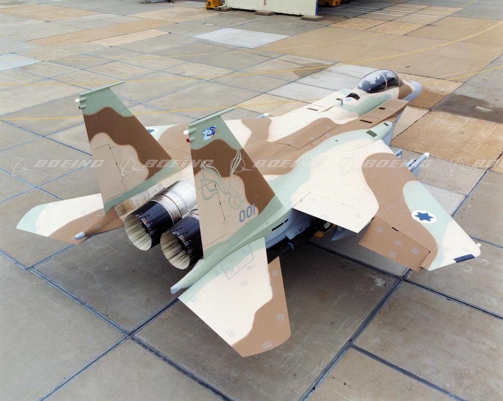 Boeing Images - F-15 Eagle on Flight Ramp in Camouflage Livery