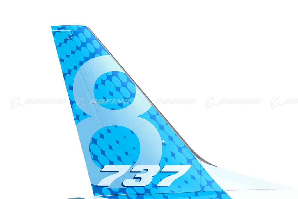 Boeing Images - Boeing 737-8 Standard View Illustrations