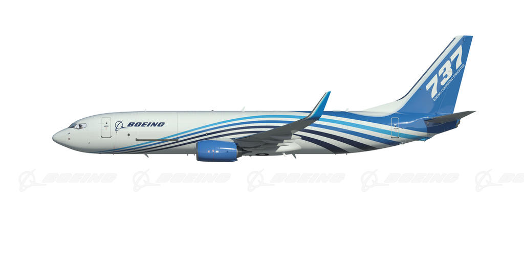 Boeing Images - 737-800BCF Standard View Illustration