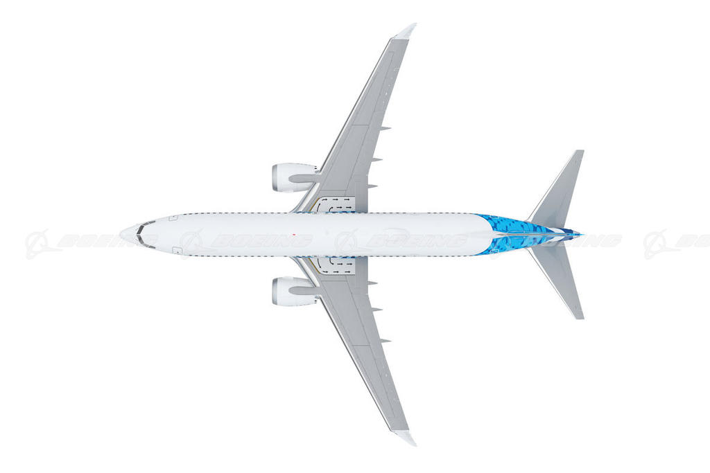 Boeing Images - Boeing 737-8 Standard View Illustrations